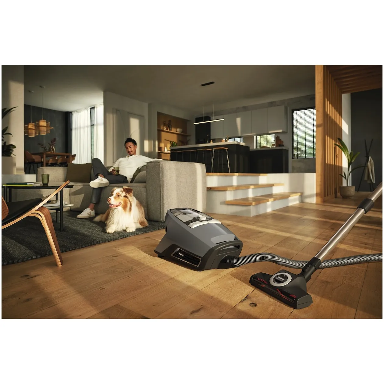 Miele Blizzard Cat & Dog Flex Powerline Kopen? Gratis Thuisbezorgd ...