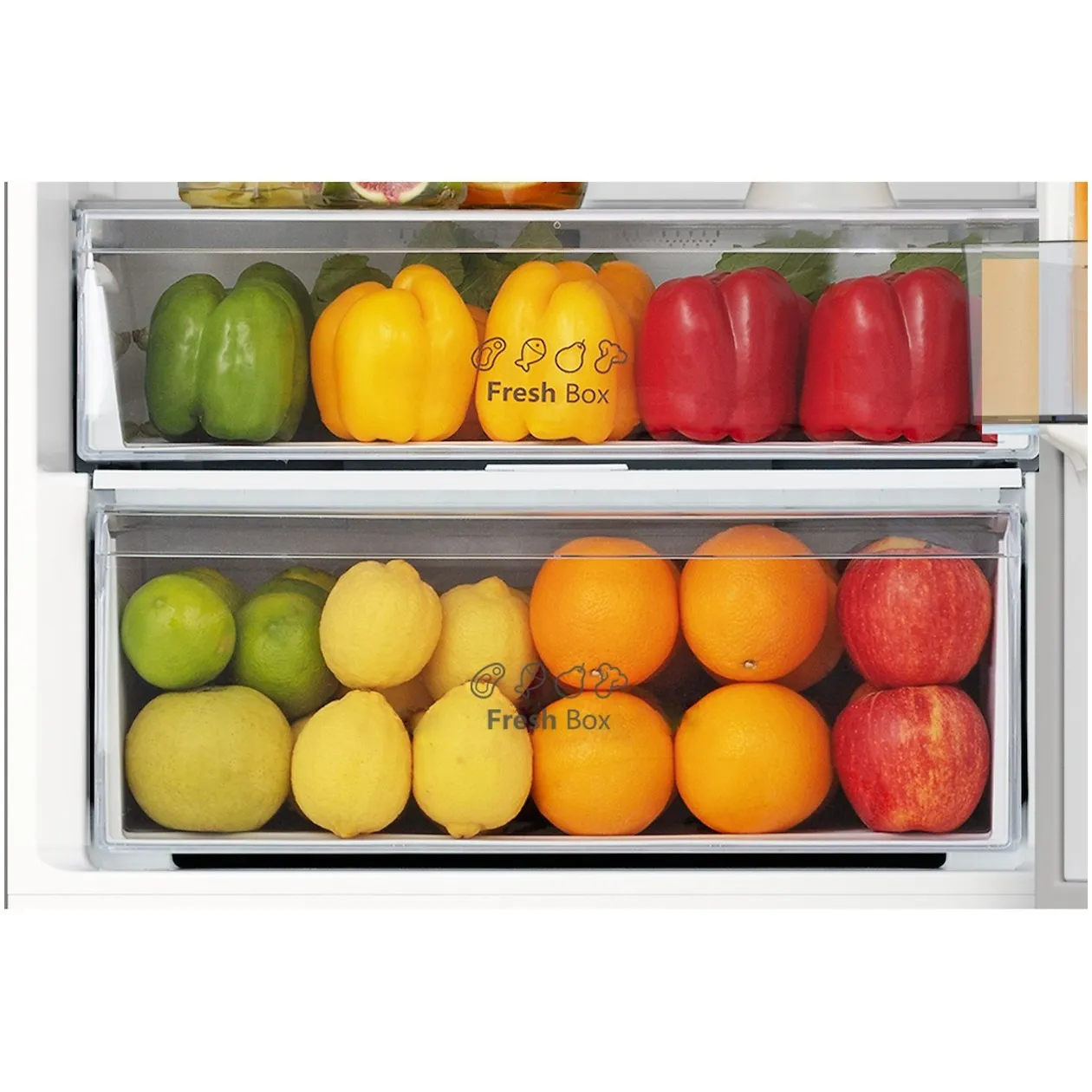 Hisense RB440N4AFC Kopen? Gratis Thuisbezorgd | Expert.nl