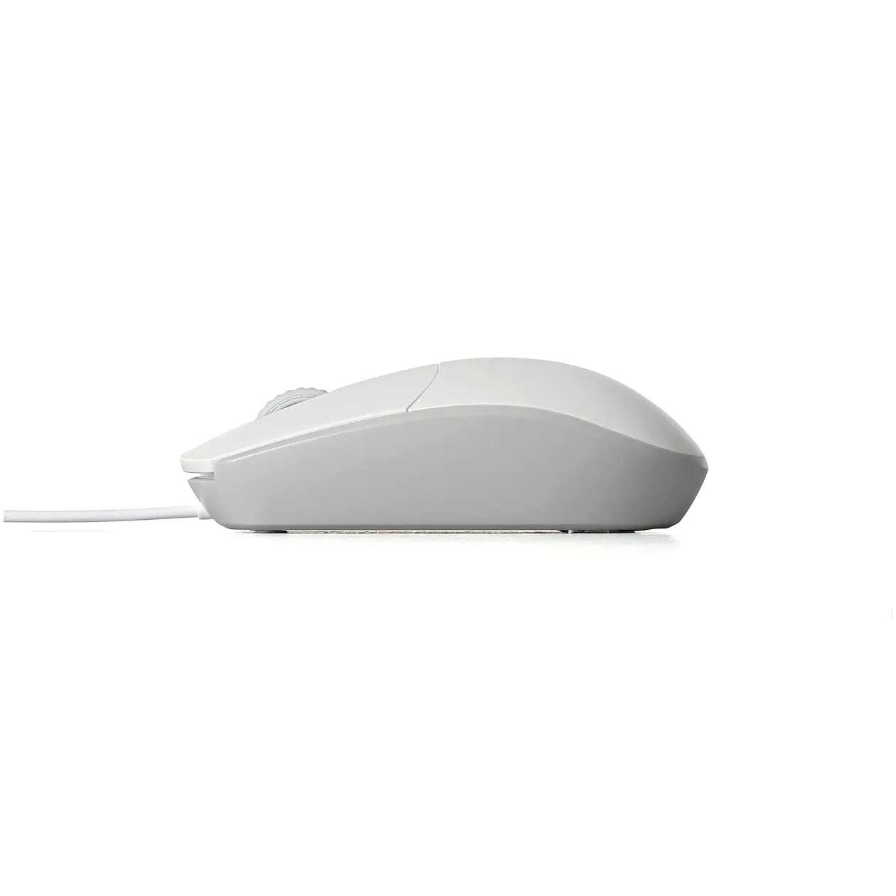 Rapoo N100 Optical Mouse Wit Muis kopen? | Expert.nl